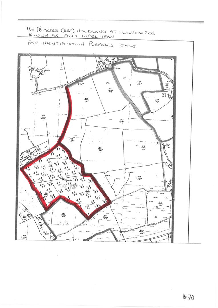 16.78 acres Woodland at Llanddarog – JJMorris